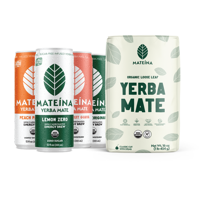 Mateina x Huberman Lab – Mateína